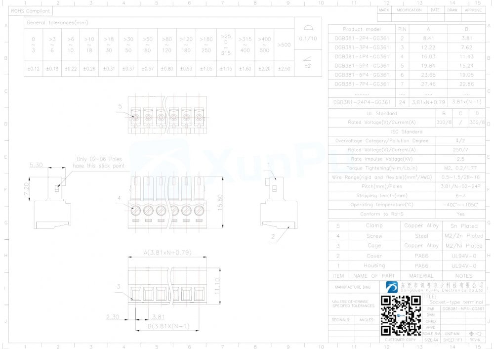 XUNPU DGB381-4P4-GG361 technical drawing