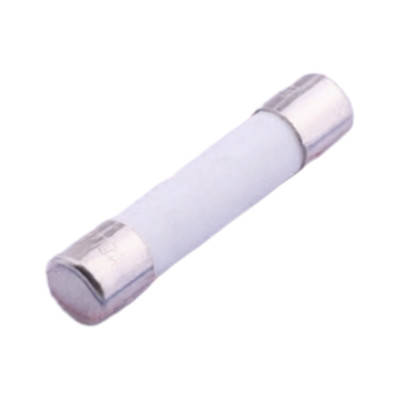 HOLLY 65NM-080H Fuse