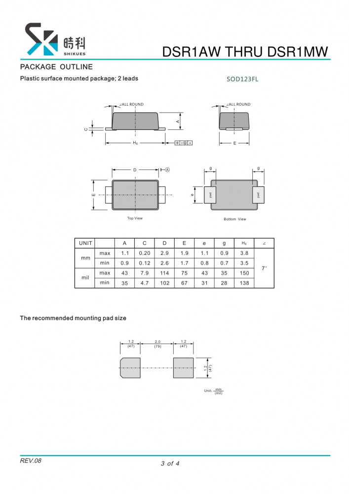 DSR1MW datasheet page 3
