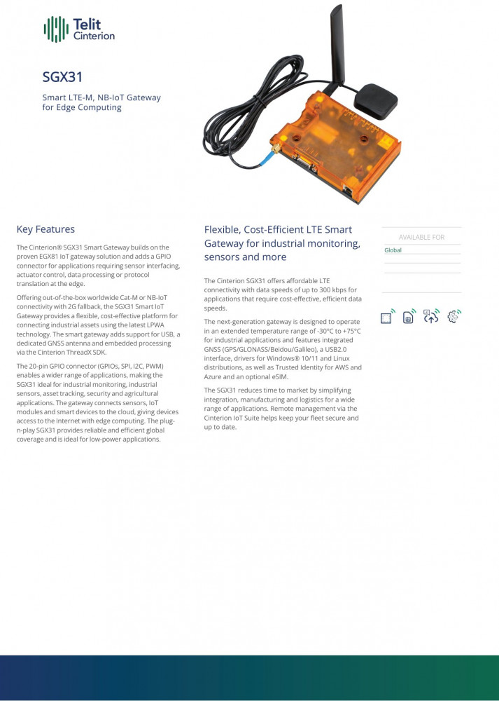 SGX31 product document, page 1