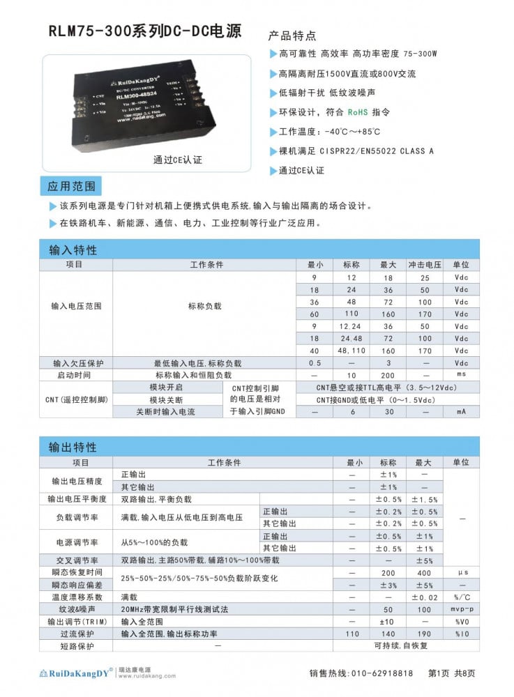 RLM300-110S24TM datasheet page 1