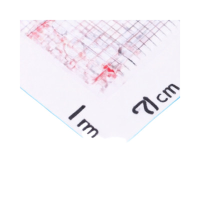 PTTC(Polytronics Tech) SMD0402P020SLR