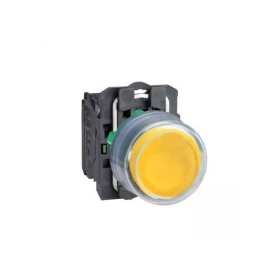 Schneider XB5AP51 Pushbutton Switch for sale