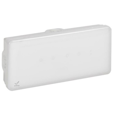 Emergency lighting luminaire B65LED Non Permanent 500lm 1h Autotest IP65 IK07 for sale