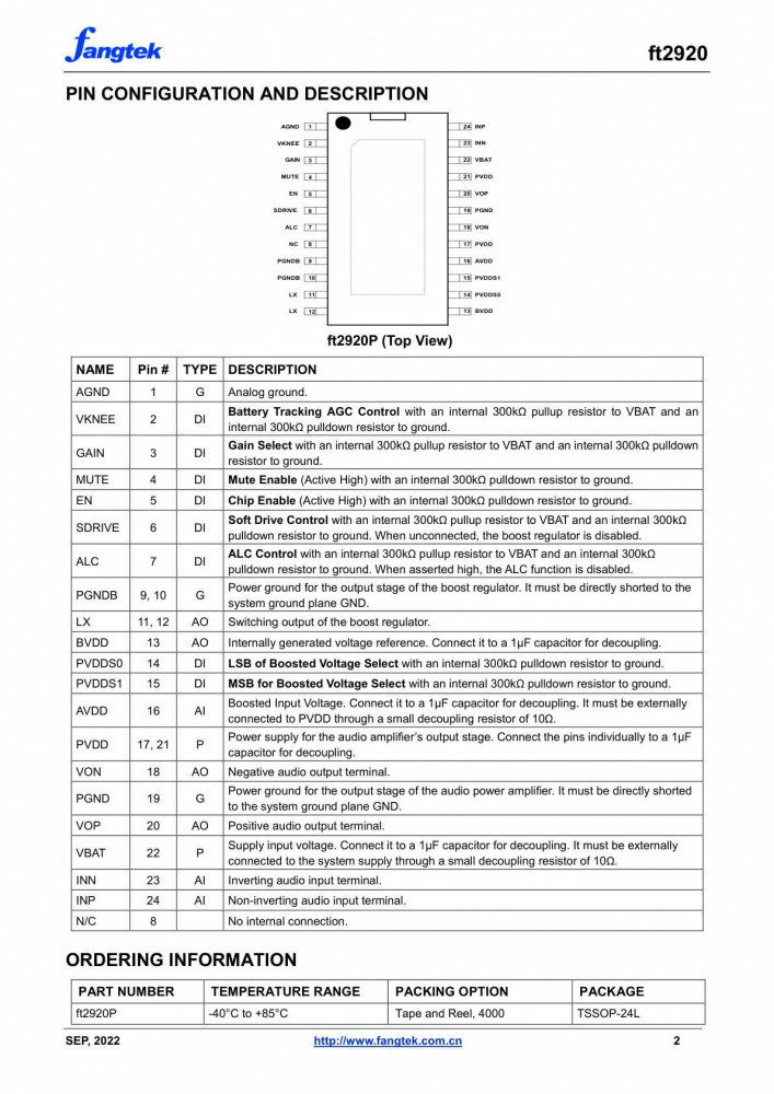 FT2920P datasheet page 2