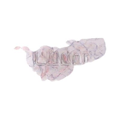 KYX KSS120002020 Crystal Chip for Precision Electronics and DIY Projects