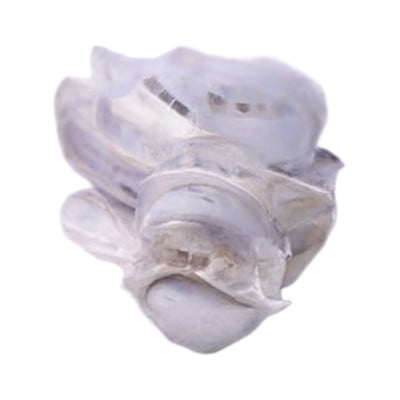 Brightking B32-350-LF Gas Discharge Tube Arrester