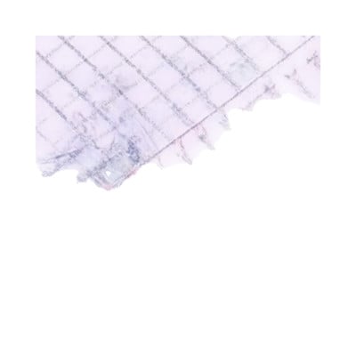 prosemi 0603FA-R500 Fuse