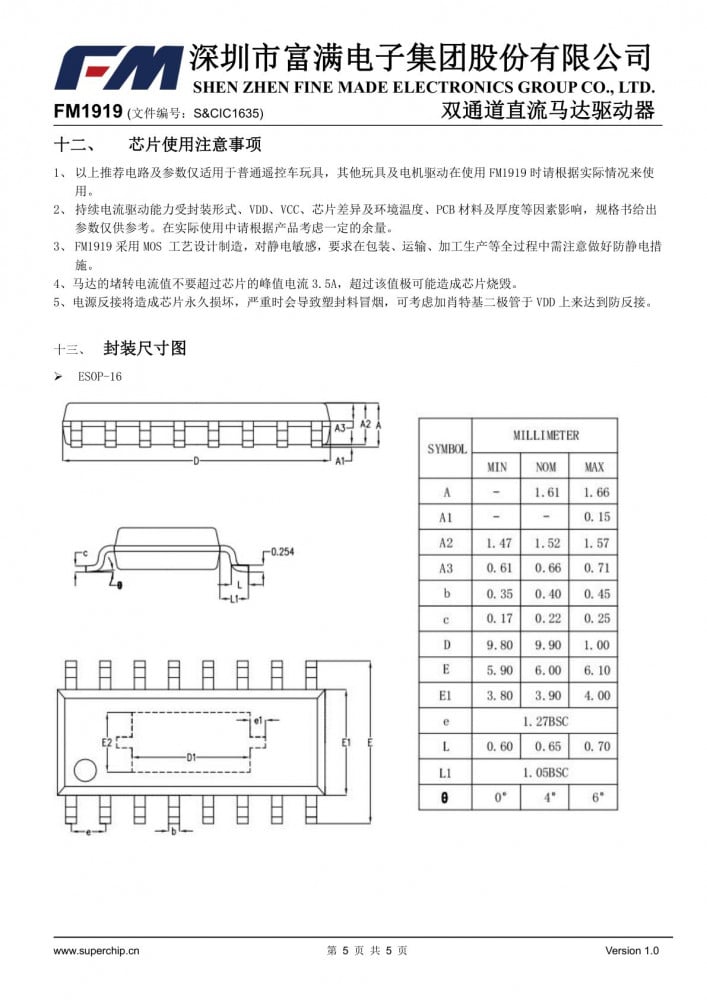FM1919 datasheet page 5