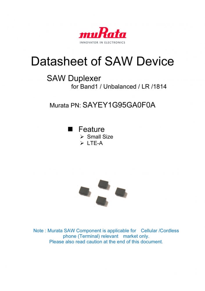 SAYEY1G95GA0F0A datasheet page 1