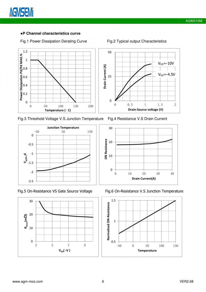 AGM310M datasheet page 6