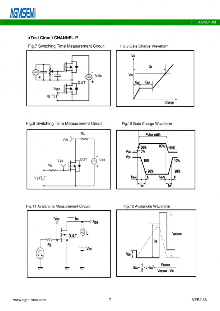 AGM310M datasheet page 7