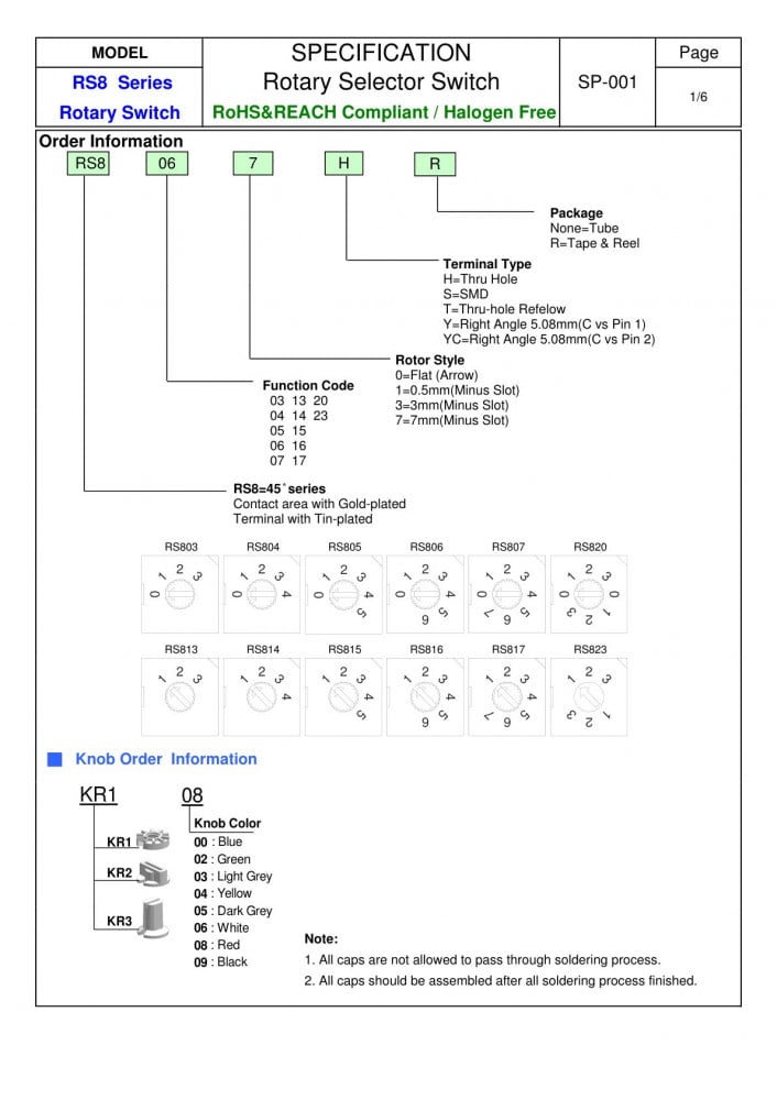BIWIN RS8 Series datasheet page 1