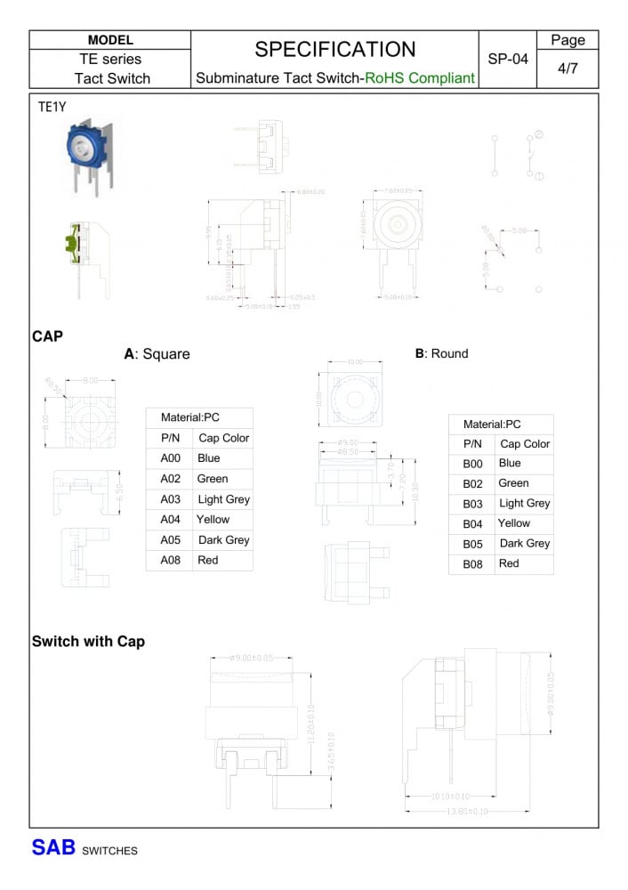 BIWIN TE1Y datasheet page 4