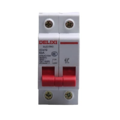Delixi Electric DZ47G232 Disconnect Switch Component