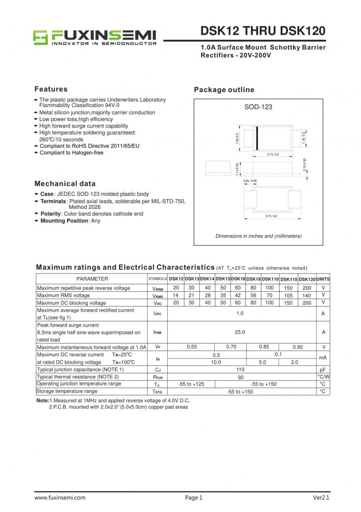DSK110 datasheet page 1