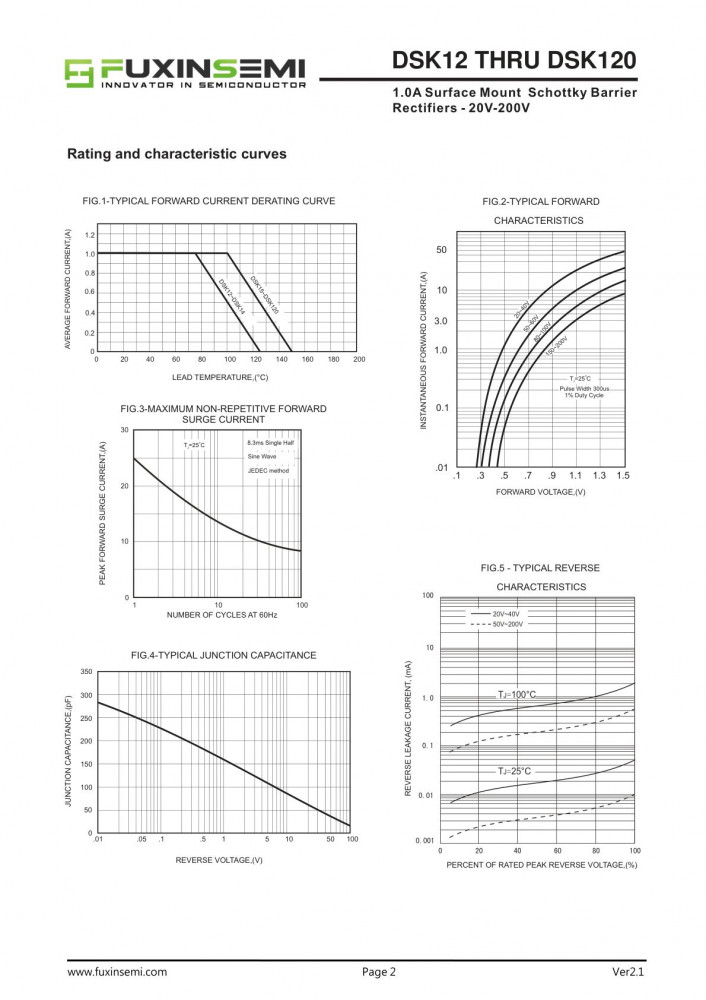 DSK110 datasheet page 2