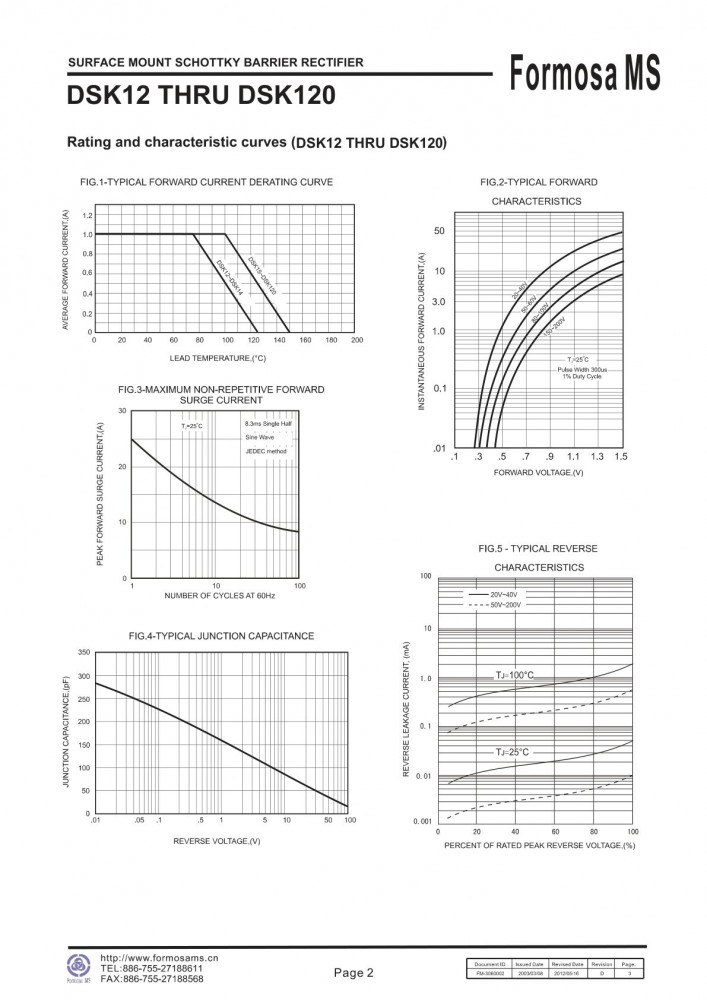 FMS DSK14 datasheet page 2