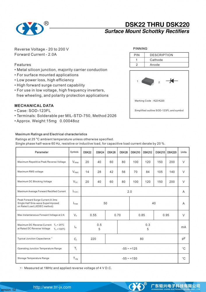 DSK210 datasheet page 1
