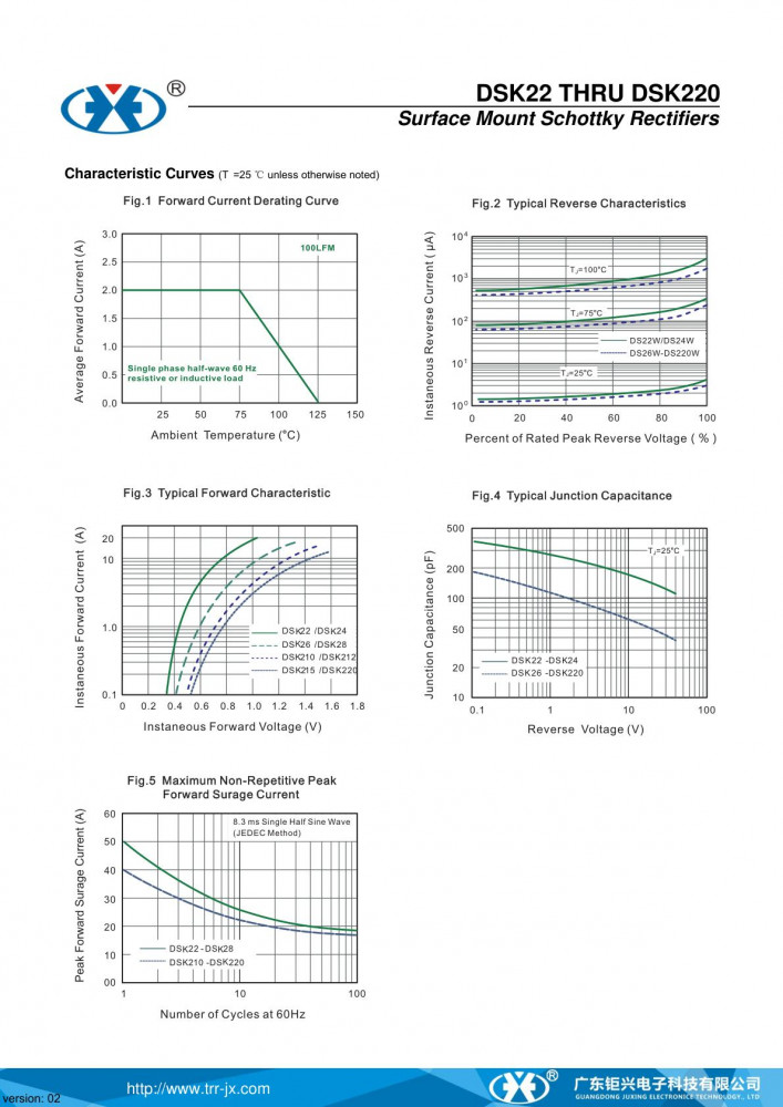 DSK210 datasheet page 2
