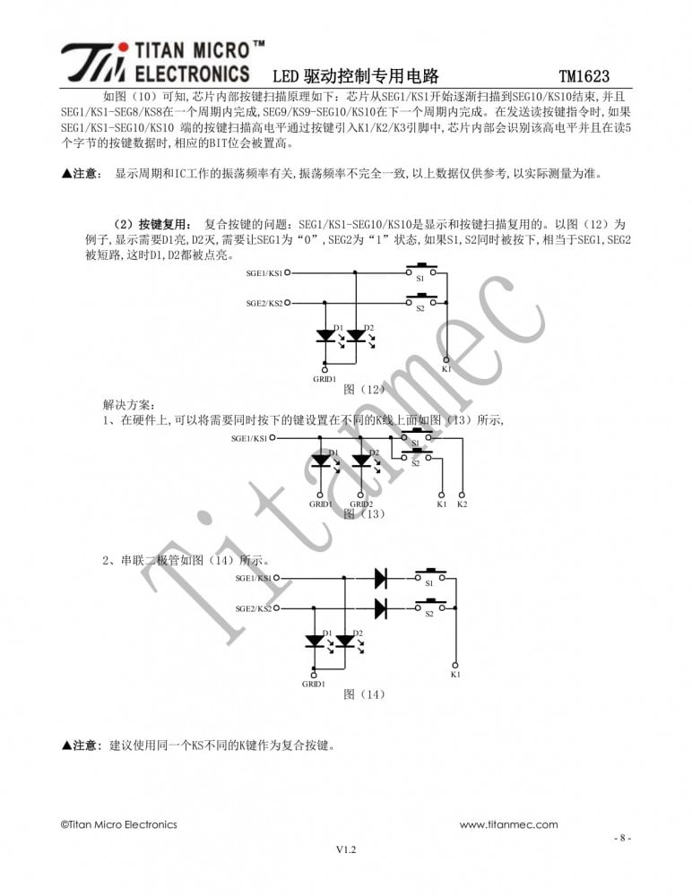 TM1623 datasheet page 8