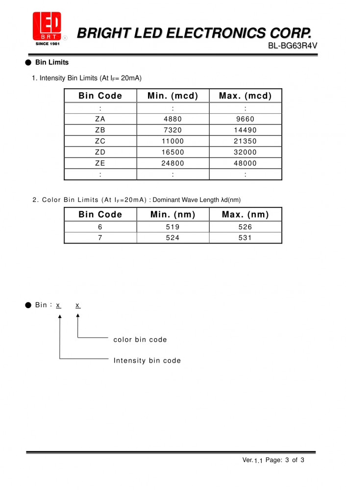 BL-BG63R4V datasheet page 3