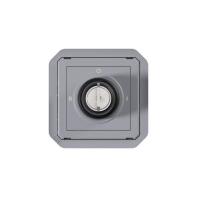 Plexo - Ronis key-operated switch 3 positions - Grey mechanism - IP55 dust and water protected - 250V AC 10A push-in clamp connection for sale