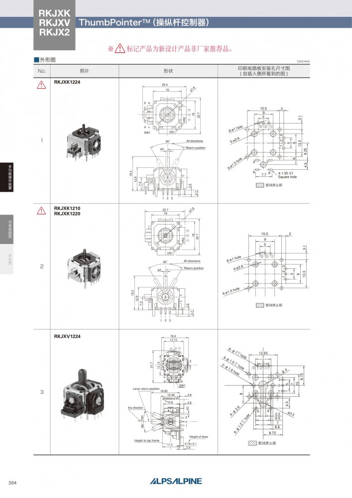 RKJX21224001 technical document page 2