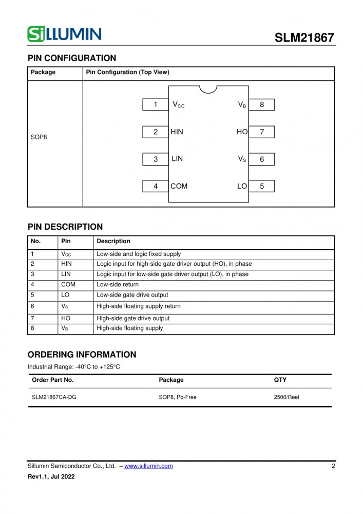 SLM21867 datasheet preview, page 2