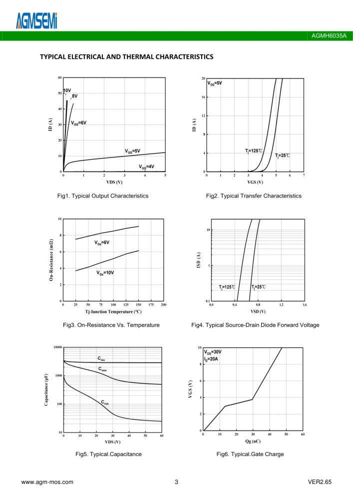 AGMH6035A datasheet page 3