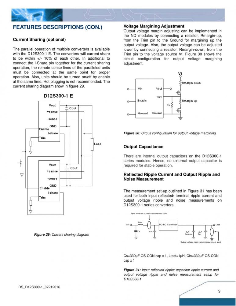 D12S300-1 C datasheet page 9