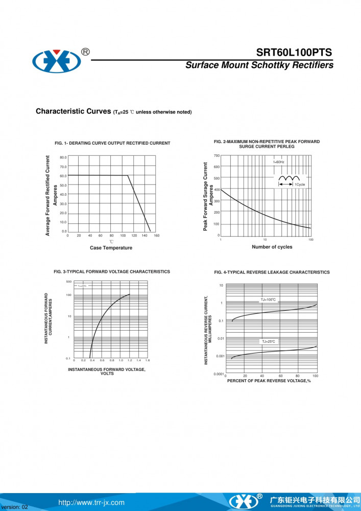 SRT60L100PTS datasheet page 2
