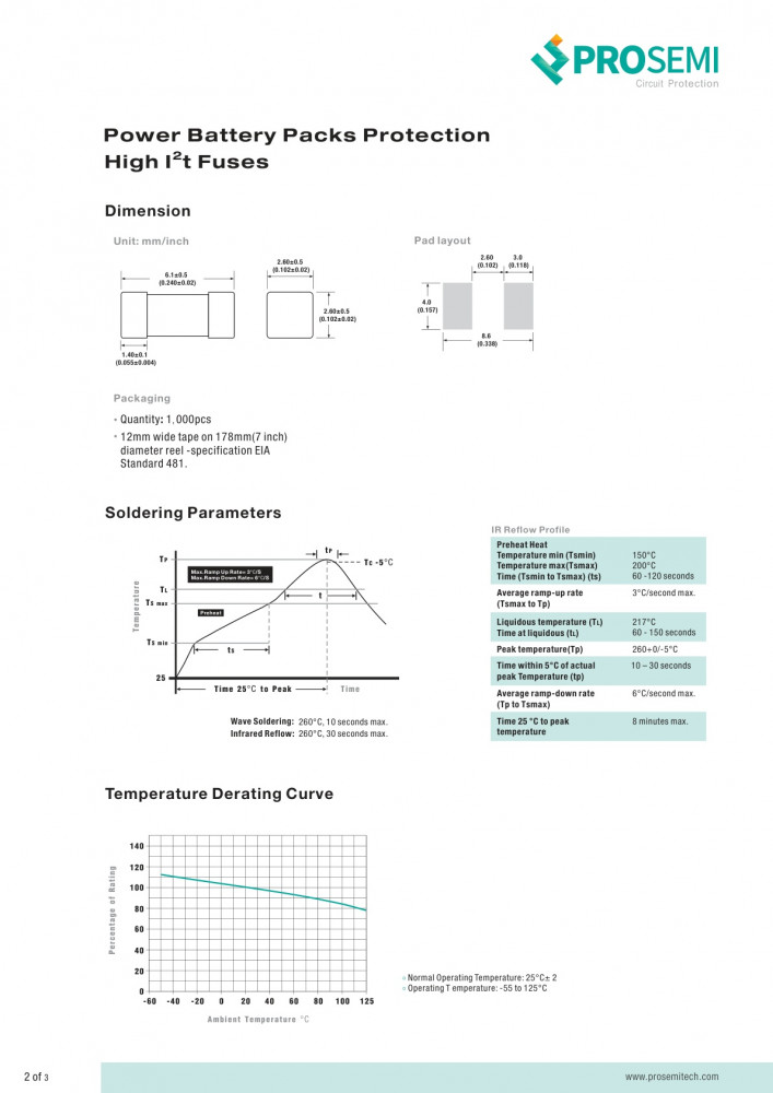 PROSEMI 2410BP fuse datasheet page 2
