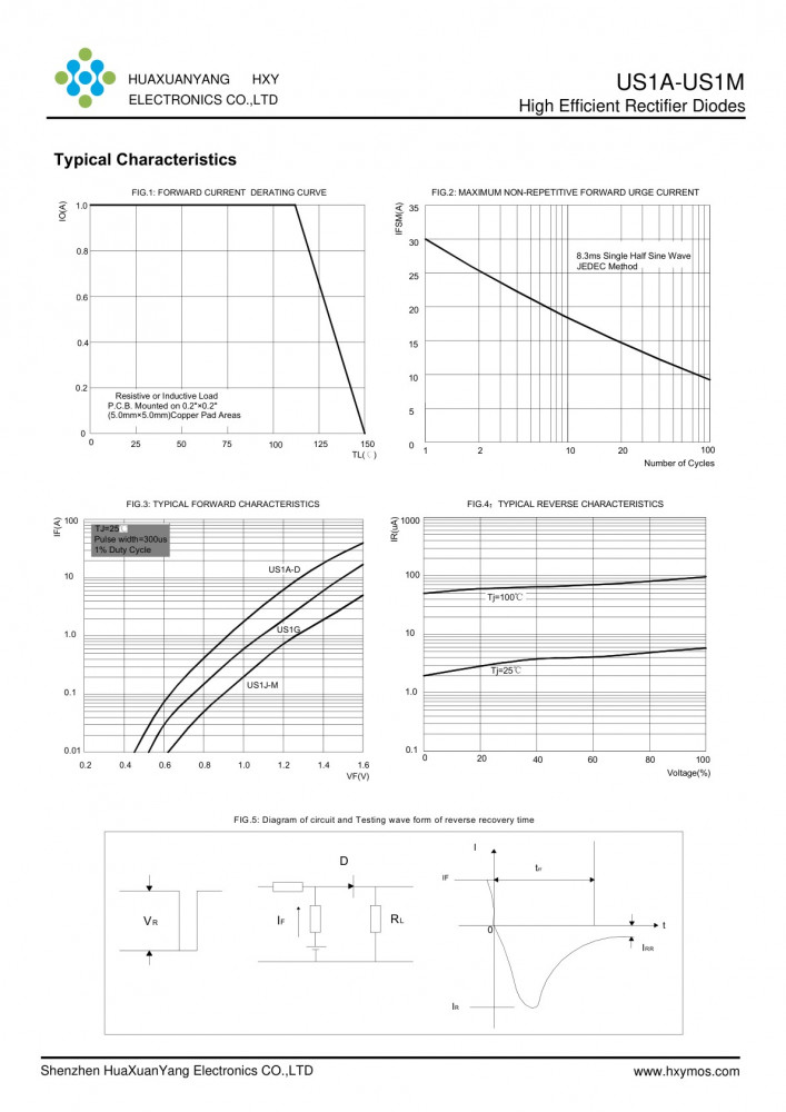 US1G datasheet page 2