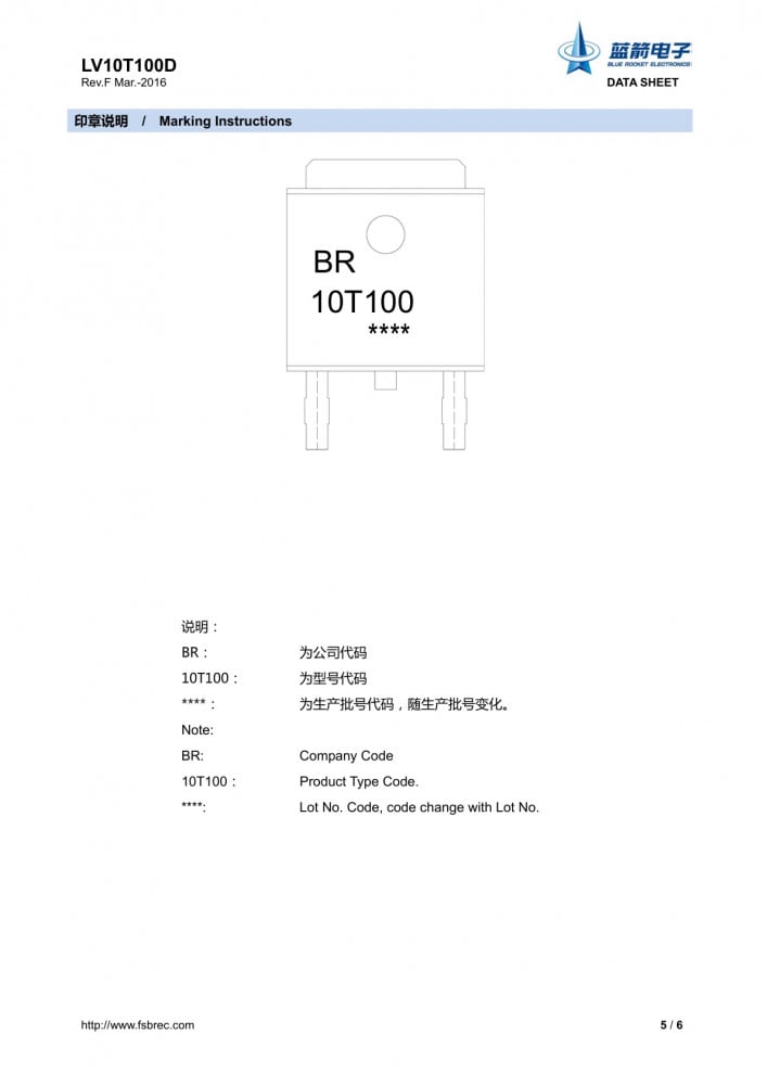 LV10T100D datasheet page 5