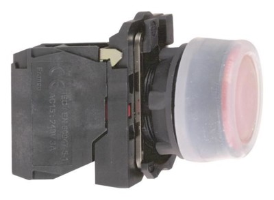Schneider XB5AP42 Pushbutton Switch for sale