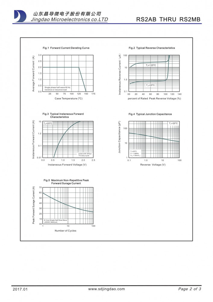 RS2GB datasheet page 2