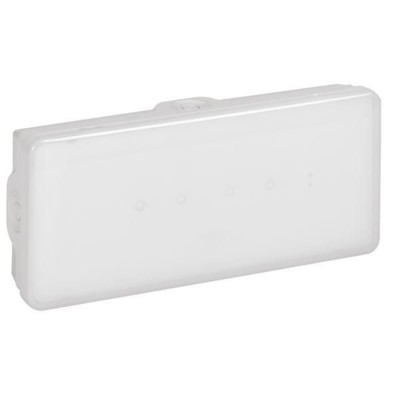 Emergency luminaire B65 - autotest/address maint./non maint. - 200 lm - 1h - LED for sale
