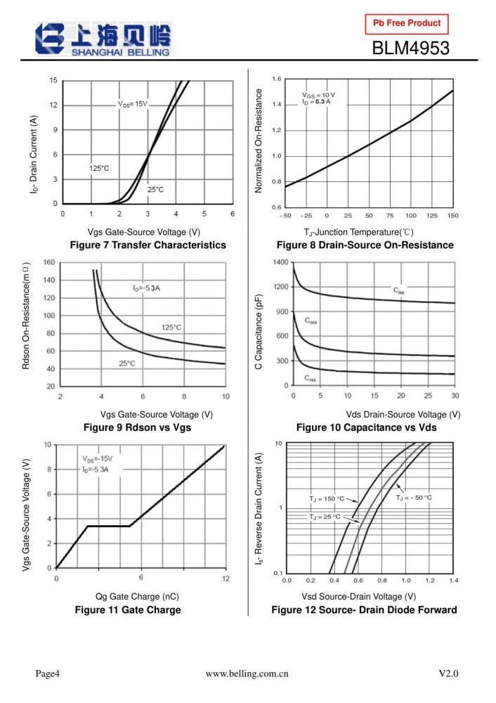 BLM4953 datasheet page 4