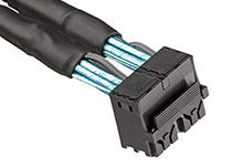 Molex 1002250201