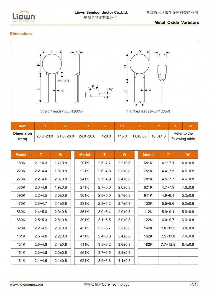Liown 20D series datasheet page 2