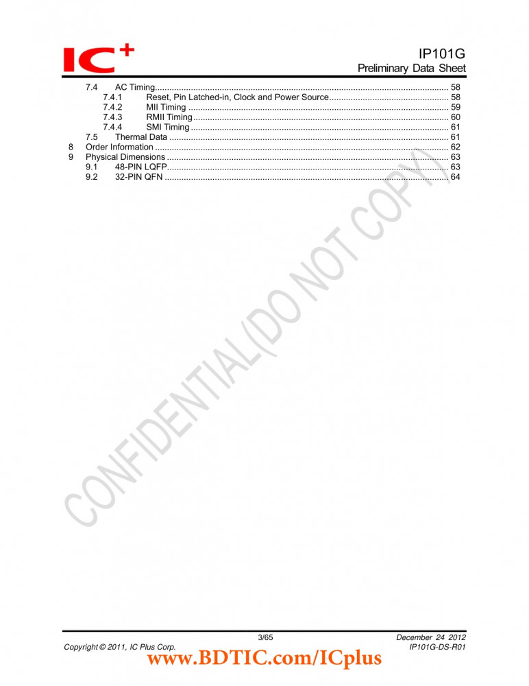 IP101GA datasheet page 3