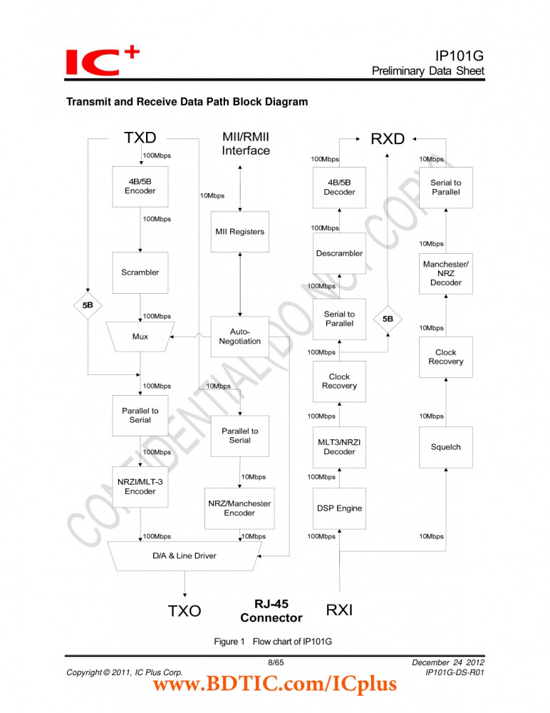 IP101GA datasheet page 8