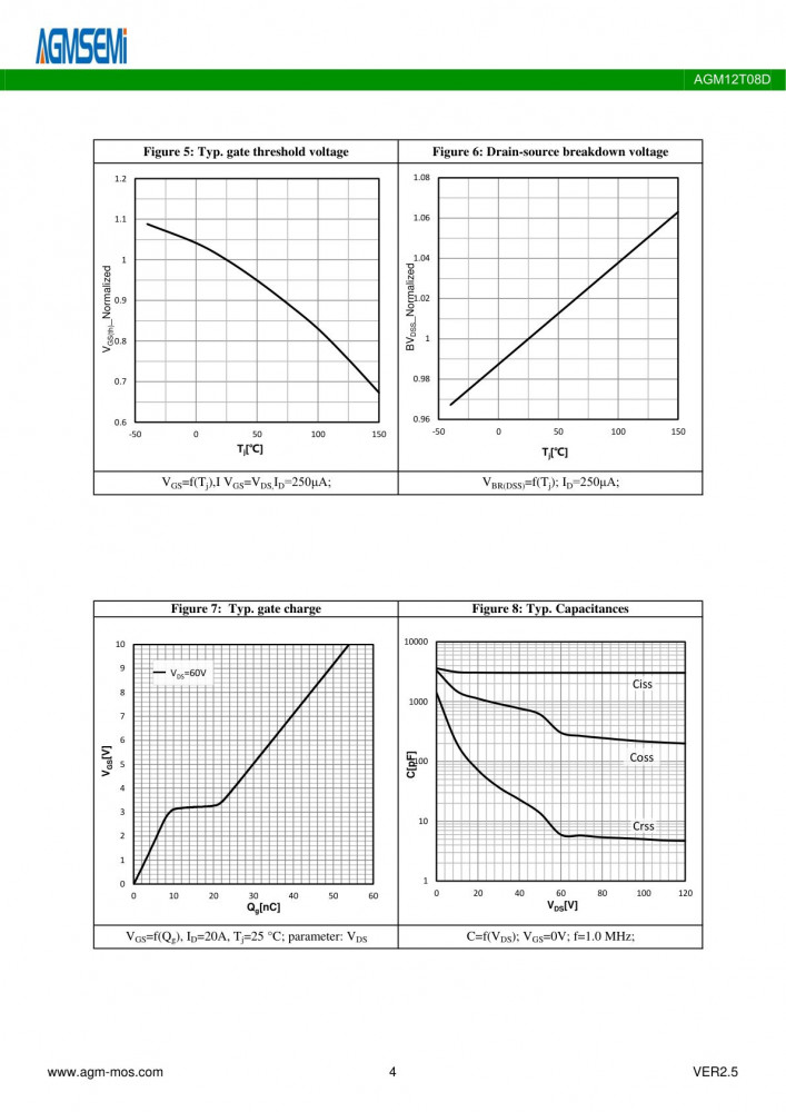 AGM12T08D datasheet page 4