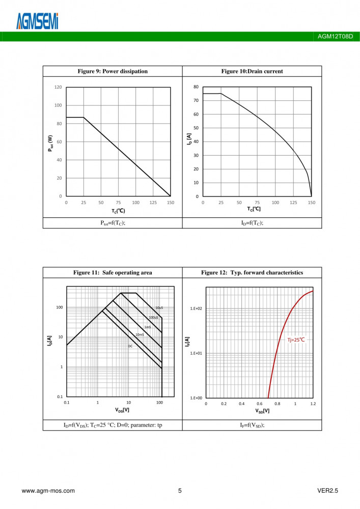 AGM12T08D datasheet page 5