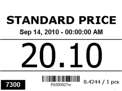 Pervasive Displays E2213HS091