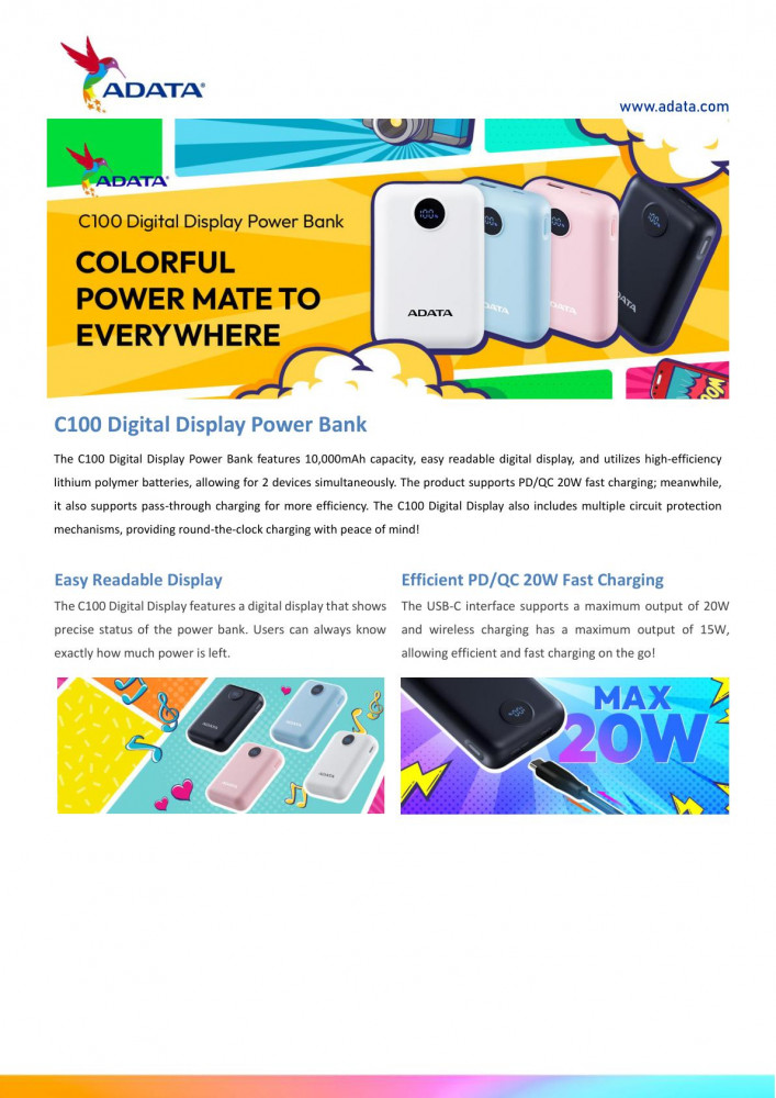 C100 Digital Display product document, page 1