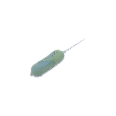 VISHAY AC07000002209JAC00 Through Hole Resistor
