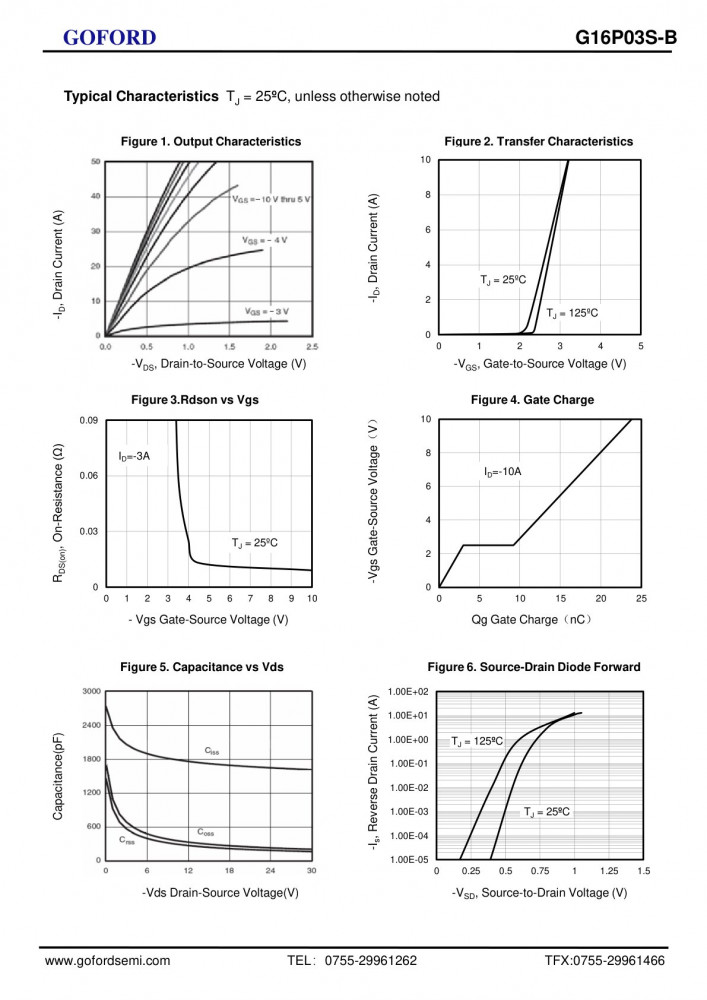 G16P03S-B datasheet page 4