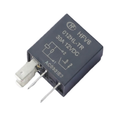 HONGFA HFV9/024-1ZS